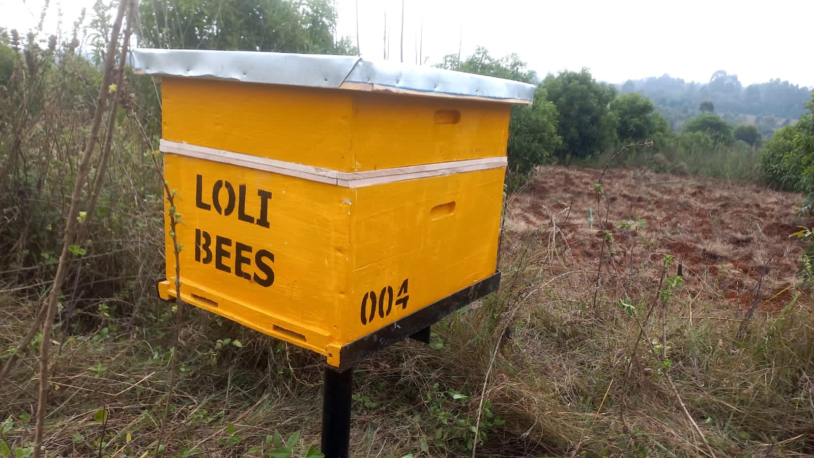 Chris Bee Enterprises Limited